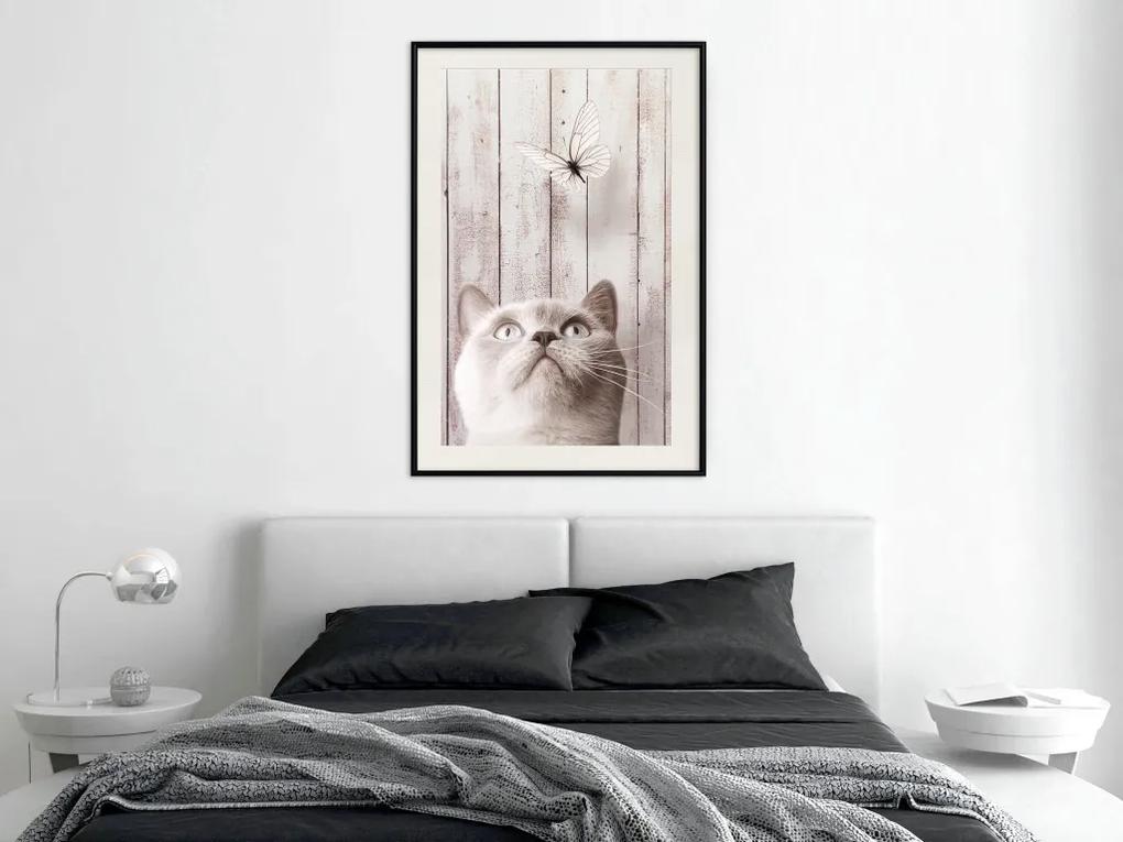 Plakát Kočičí příroda - šedá kočka a létající motýl na pozadí dřevěných desek