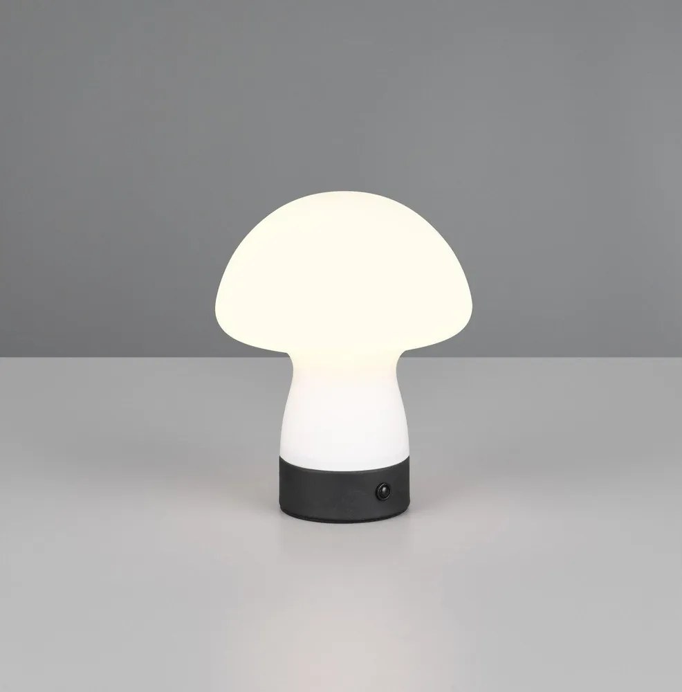 Matně bílá LED stolní lampa se skleněným stínidlem (výška 18 cm) Dooley – Reality