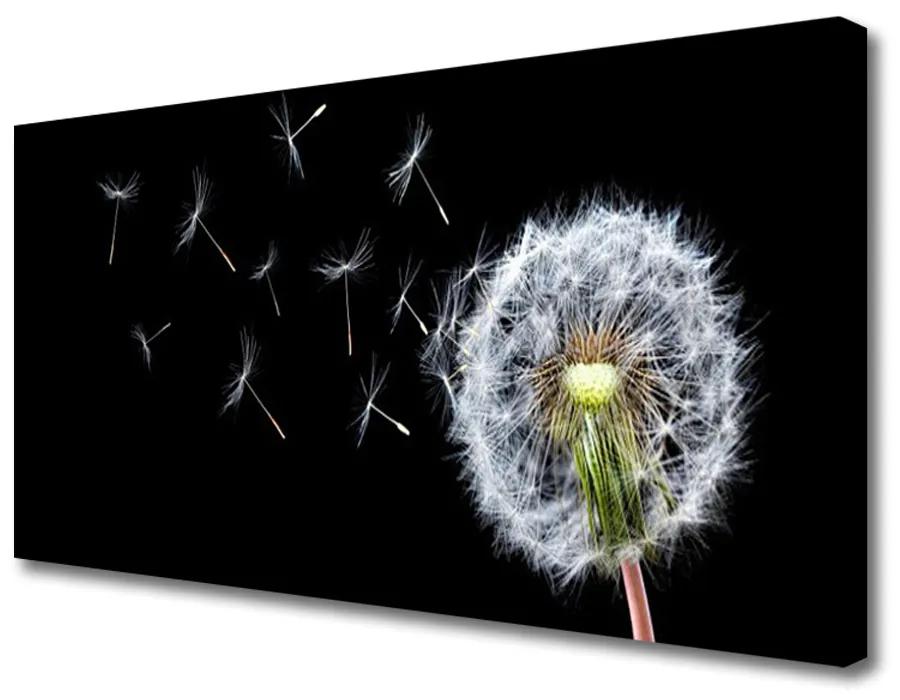 Obraz na plátně Pampelišky Květiny Příroda 120x60 cm