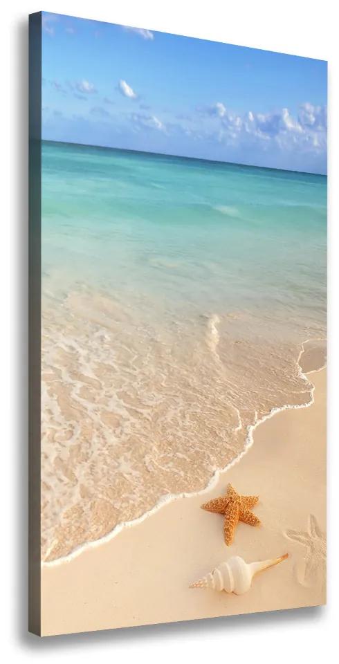 Wallmuralia Vertikální Foto obraz na plátně Hvězdice na pláži 50x100