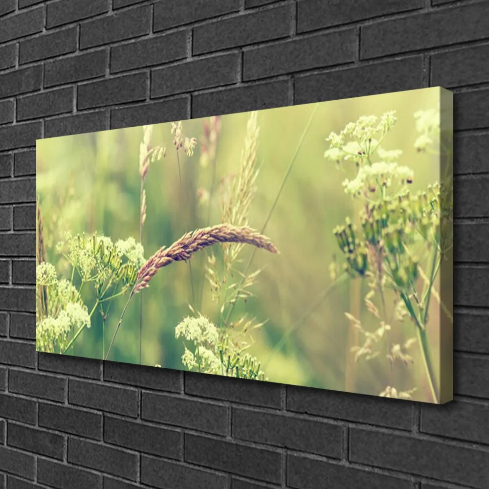 Obraz na plátně Divoké Rostliny Příroda 120x60 cm