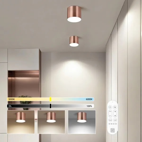 Immax NEO 07319L - LED Stm stropní sv RONDATE 18W/230V 11,5 cm Wi-Fi Tuya rose