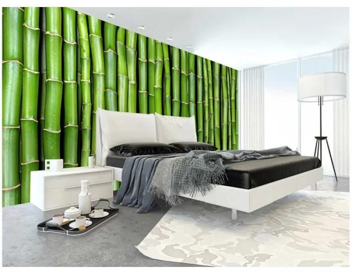 DIMEX | Vliesové fototapety na zeď Bambus MS-5-0165 | 375 x 250 cm| zelená