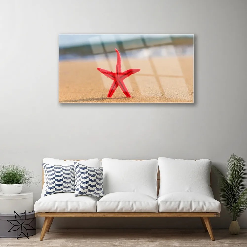 Obraz na skle Pláž Hvězdice Umění 140x70 cm