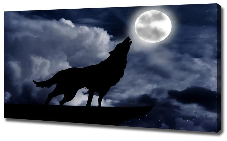 Wallmuralia Foto obraz na plátně do obýváku Vyjící vlk úplněk 120x60 cm