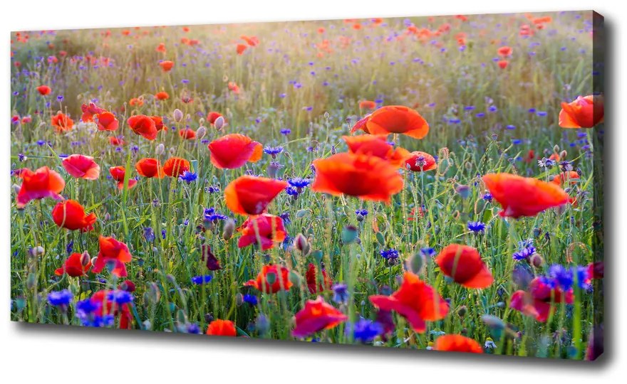 Wallmuralia Foto obraz na plátně do obýváku Plolní květiny 100x50
