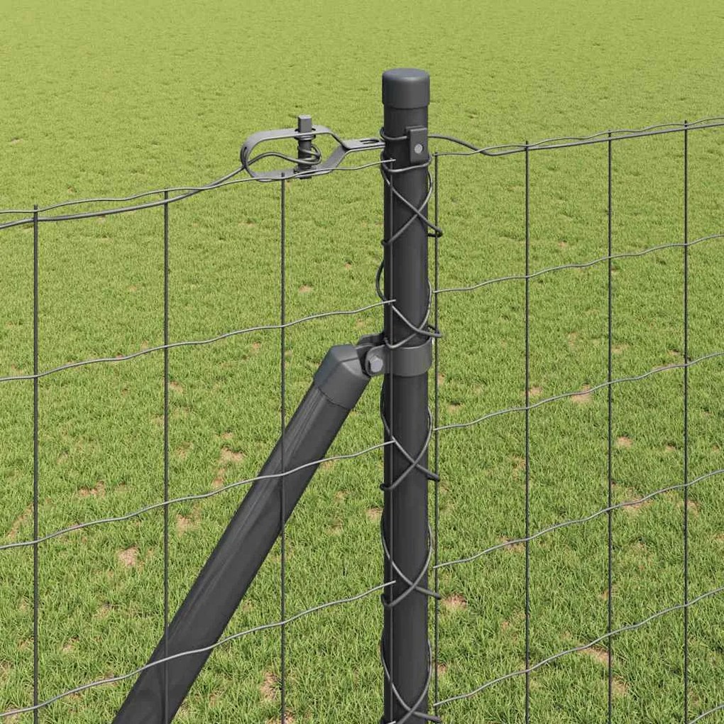 Evropský plot se hroty 10 x 1,6 m Ocel potažená PVC Šedá 3350657