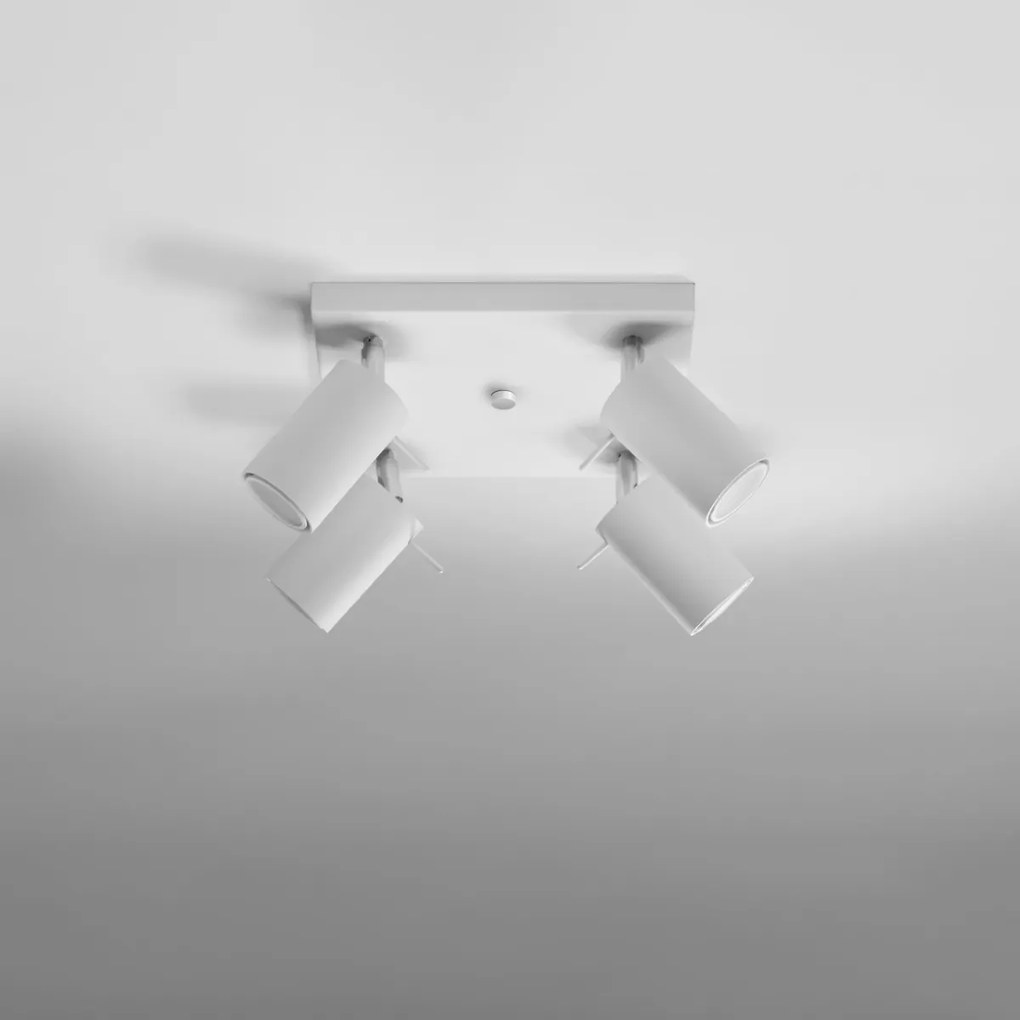 Sollux Lighting Stropní svítidlo RING 4 bílé