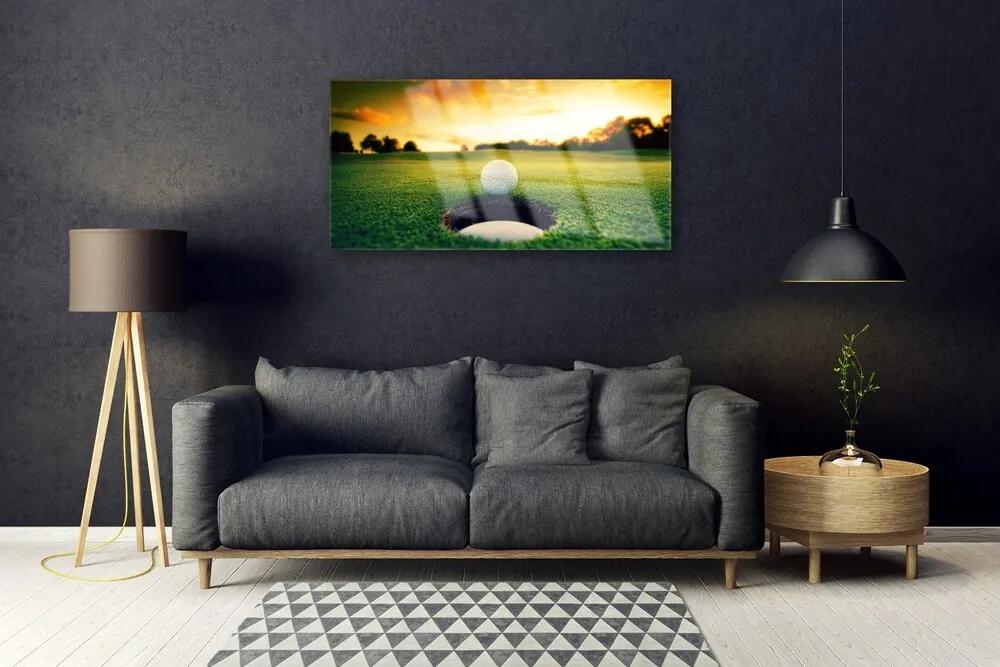 Obraz na skle Golfový Míček Tráva Příroda 120x60 cm