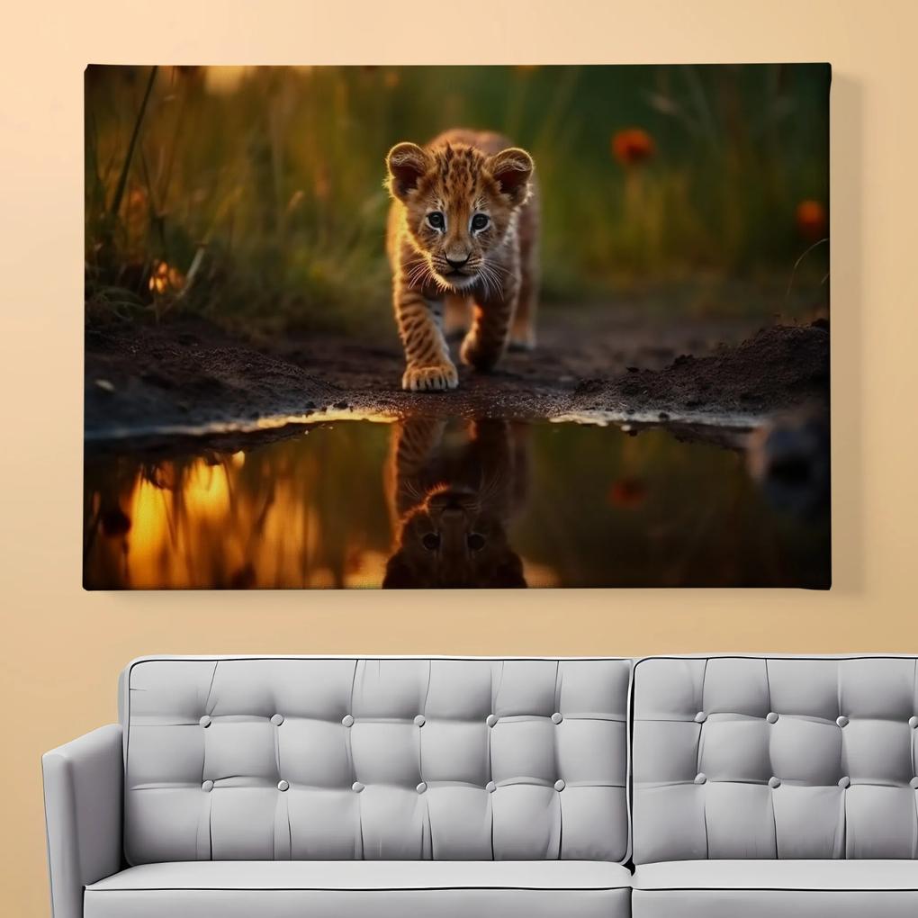 Obraz na plátně - Mládě lva v louži FeelHappy.cz Velikost obrazu: 180 x 120 cm