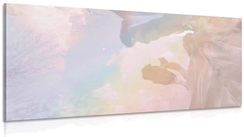 Obraz odraz pastelových listů Varianta: 120x60