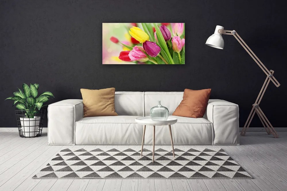 Obraz na plátně Tulipány Květiny Rostlina 100x50 cm