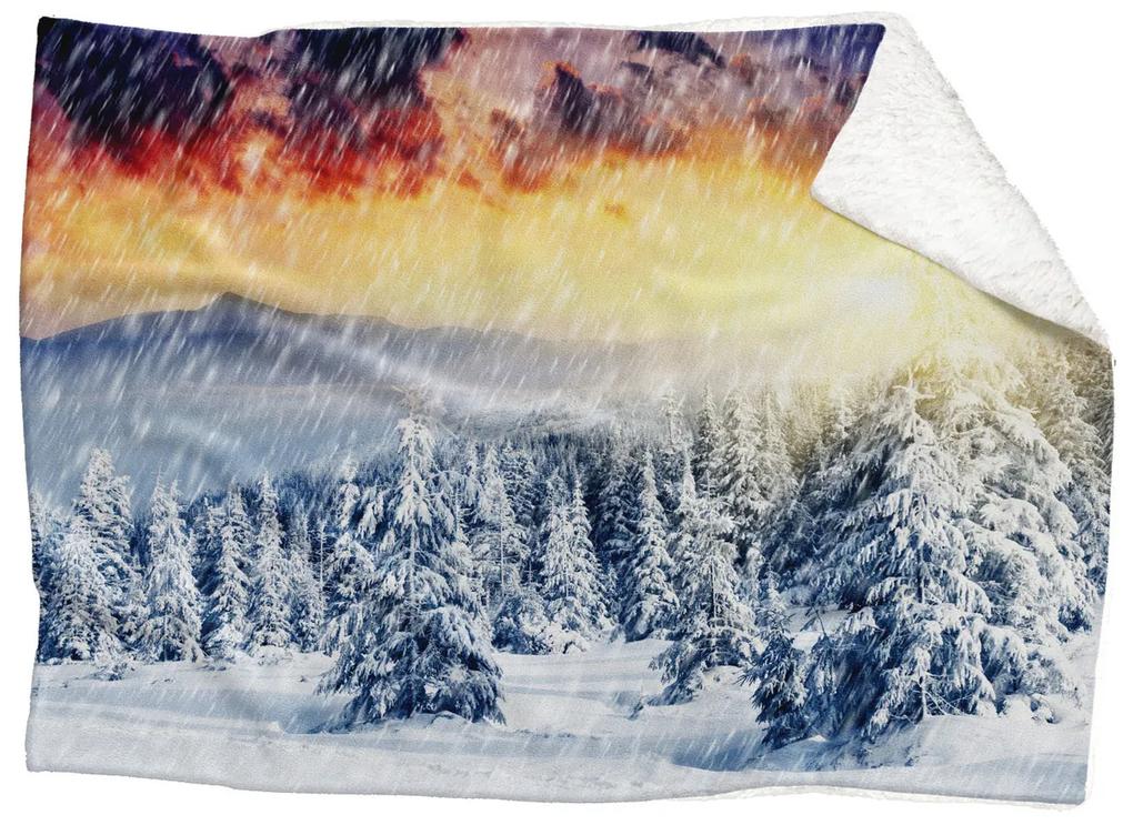 IMPAR Fleecová deka Zasněžená krajina 150x120 cm (Rozměr : 150 x 120 cm, Podšití beránkem: ANO)