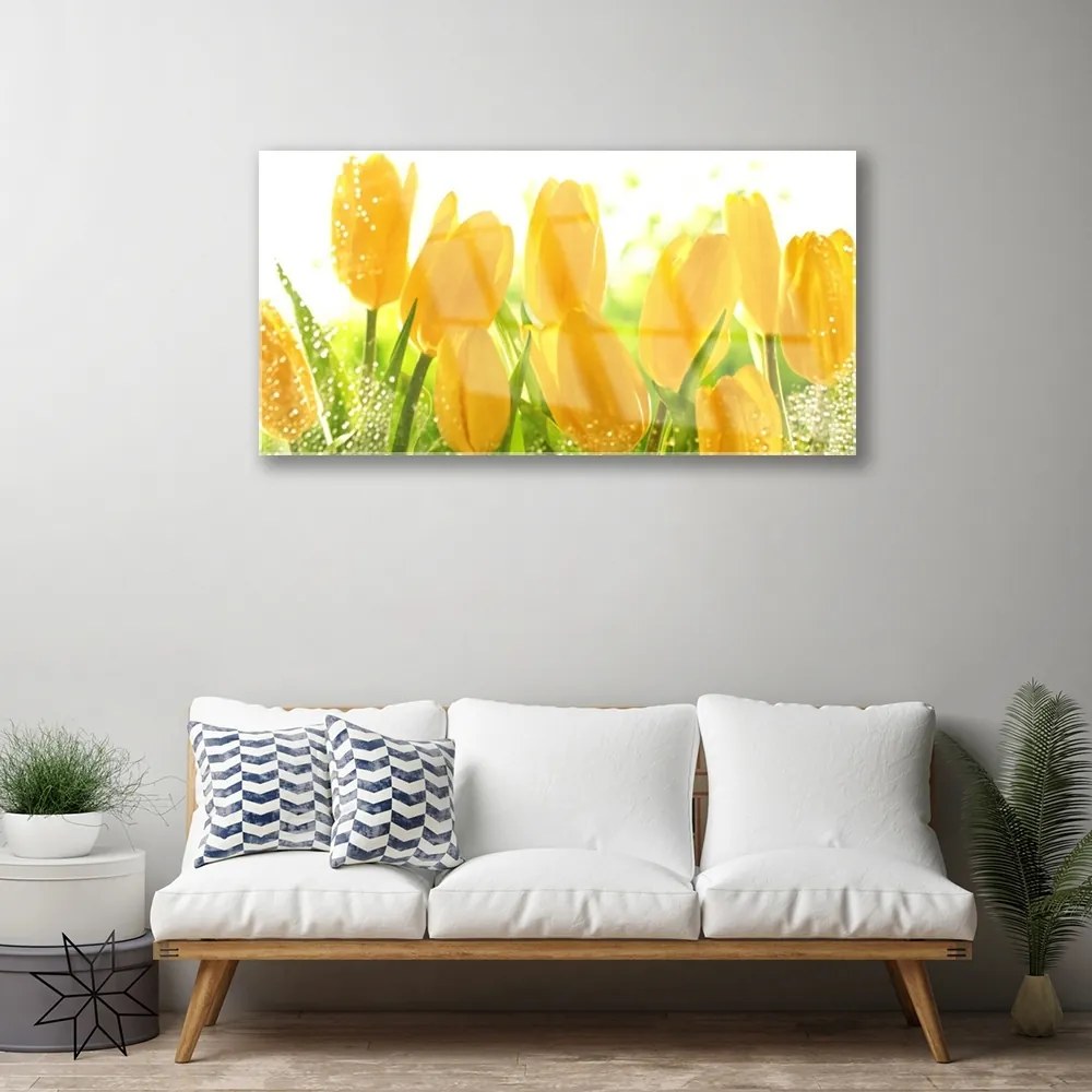 Obraz na skle Tulipány Květiny Rostlina 100x50 cm