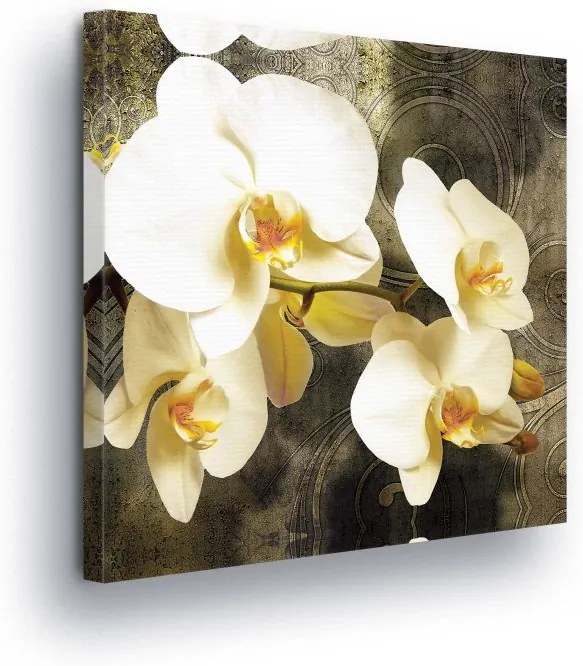 GLIX Obraz na plátně - Bílé Květy Orchideje ve Žlutém Tónu 40x40 cm