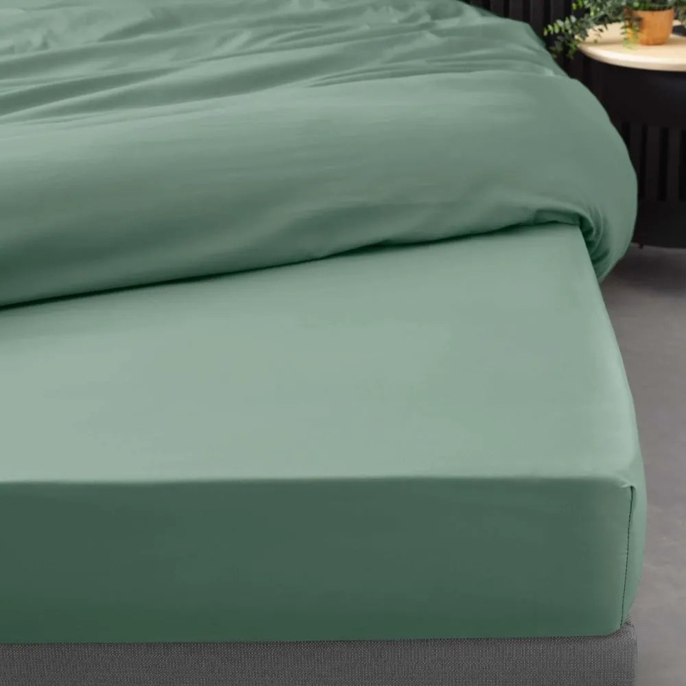 Zelené napínací prostěradlo z bavlněného perkálu 90x190 cm Percaline – douceur d'intérieur