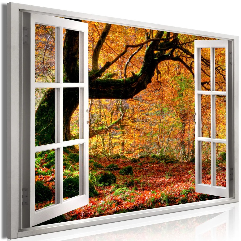 3D obraz výhled na podzimní les + háčky, hřebíčky ZDARMA Velikost (šířka x výška): 102x68 cm