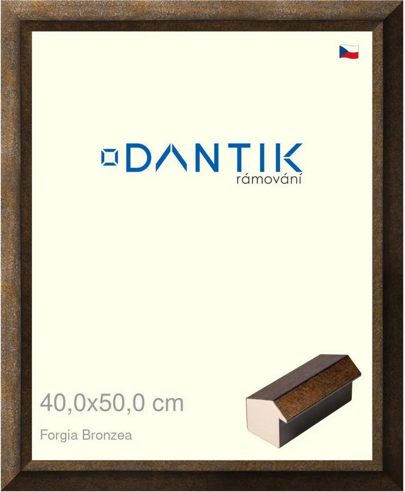 DANTIK rámeček 40x50 | Forgia Bronzea (Plexi Čiré)