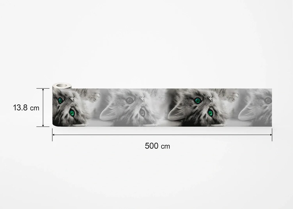 Samolepící bordura na zeď Kočka | 5 m x 13.8 cm | DWB8217