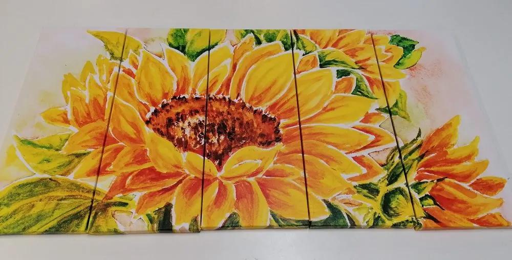 5-dílný obraz nádherná slunečnice