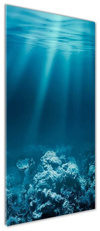 Wallmuralia Foto obraz fotografie na skle Podvodní svět 50x125 cm