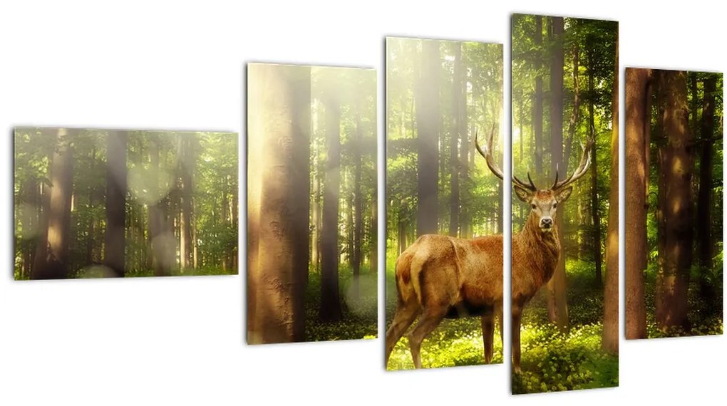 Obraz jelena v lese (110x60 cm), 40 dalších rozměrů