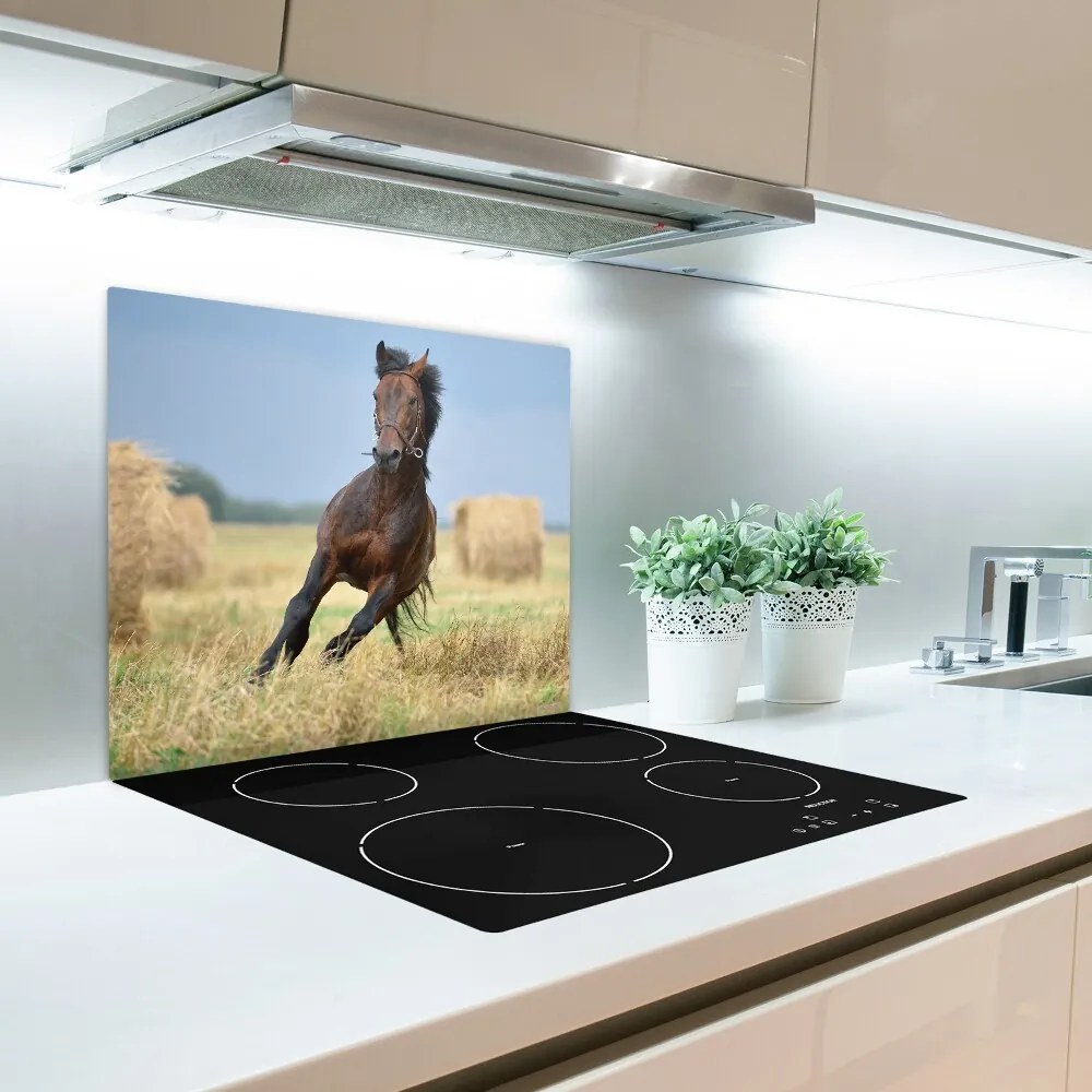Skleněné deska do kuchyně Kůň v cvalu 60x52 cm