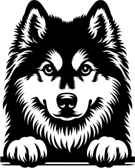 Samolepka pes Sibiřský husky