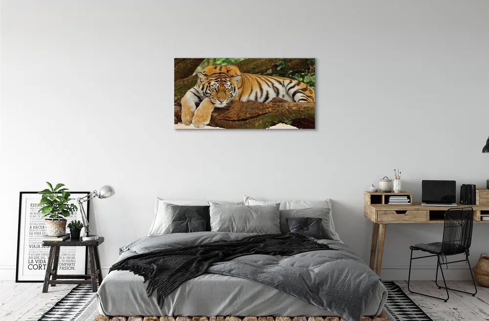 Obrazy na plátně tiger tree 125x50 cm