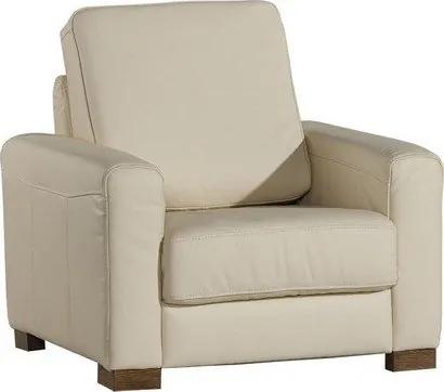 Casarredo - Komfort nábytek Křeslo WILLIAM kůže/ekokůže | potah: Kůže S-63,barva: moření 01 bílá