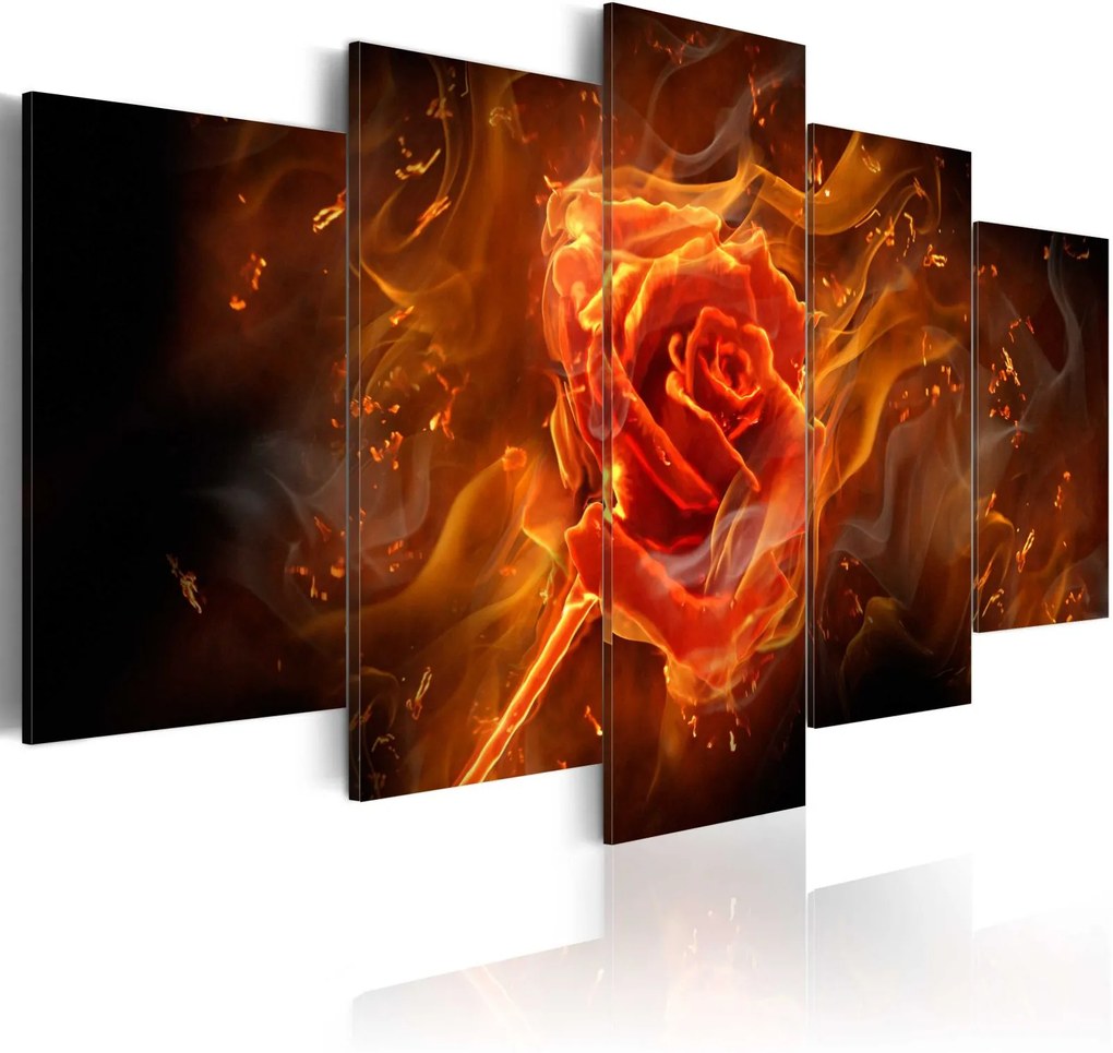 Obraz - Flaming Rose 200x100