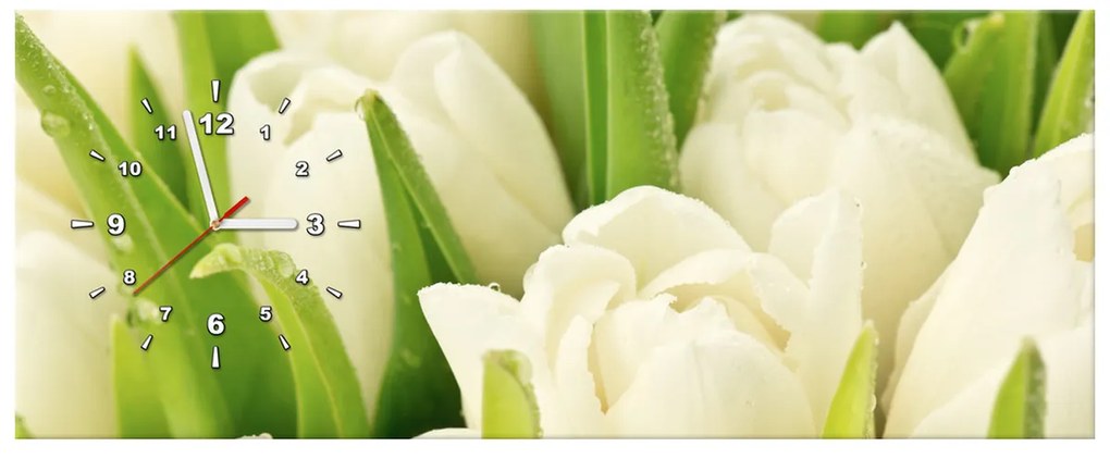 Gario Obraz s hodinami Jemné tulipány Rozměry: 30 x 30 cm