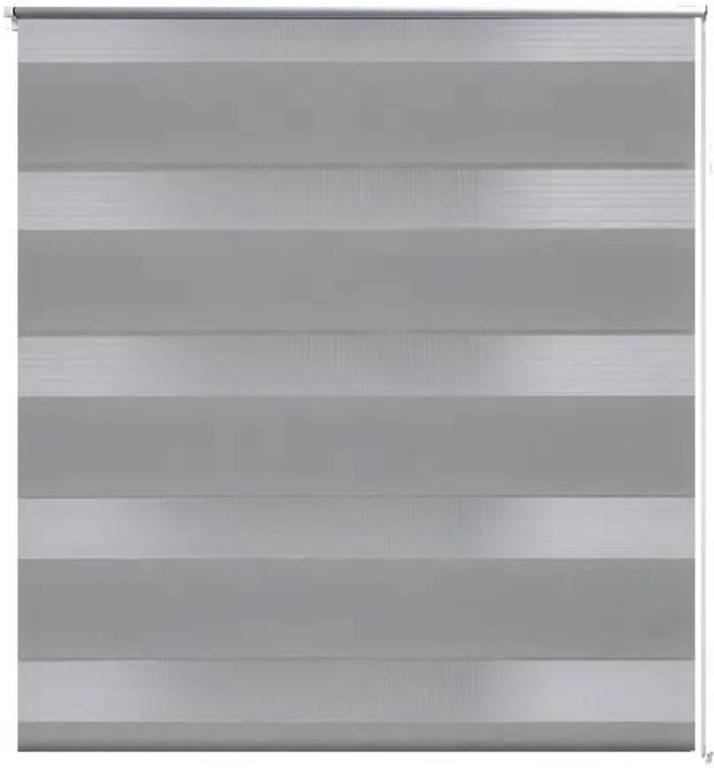 Roleta den a noc - Zebra - Twinroll - šedá | 50x100 cm