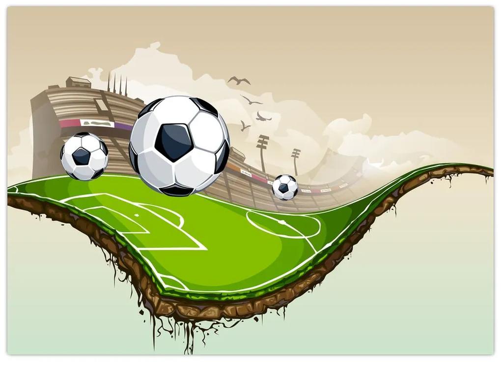 Obraz - Fotbalové hřiště (70x50 cm)