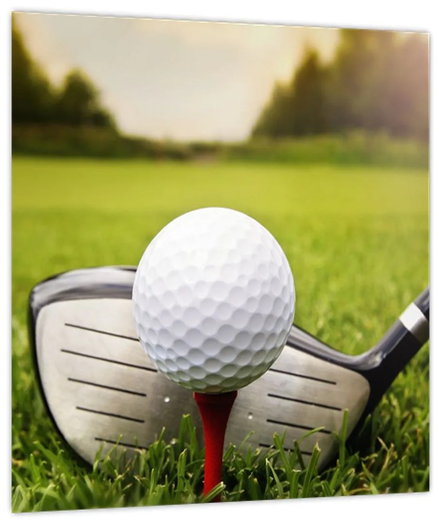 Obraz - Golf (30x30 cm)