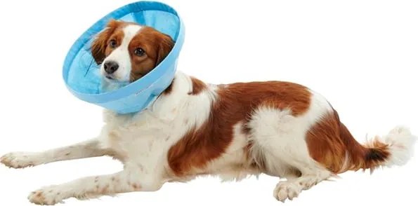 Límec Buster z netkané textilie Soft Flex 12,5 cm
