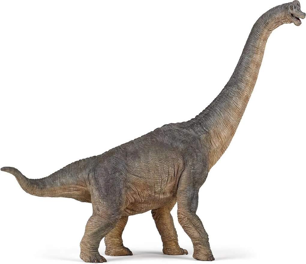 Figurka papo brachiosaurus