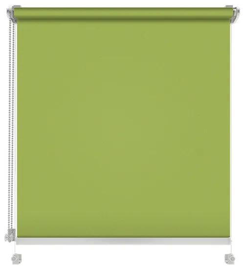 Gario Roleta Nástěnná Standard Strukturovaná Jarní zelená Výška: 150 cm, Šířka: 97 cm