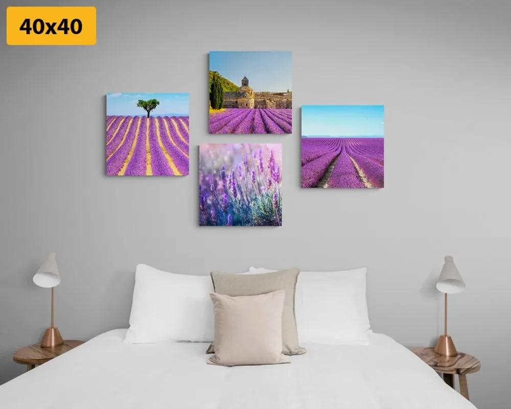 Set obrazů levandulové pole - 4x 60x60 cm
