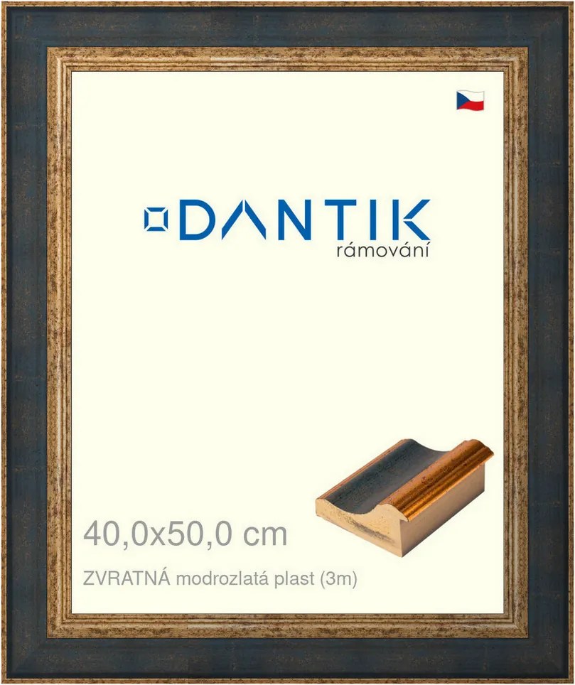 DANTIK rámeček 40x50 | ZVRATNÁ modrozlatá plast (Plexi Čiré)