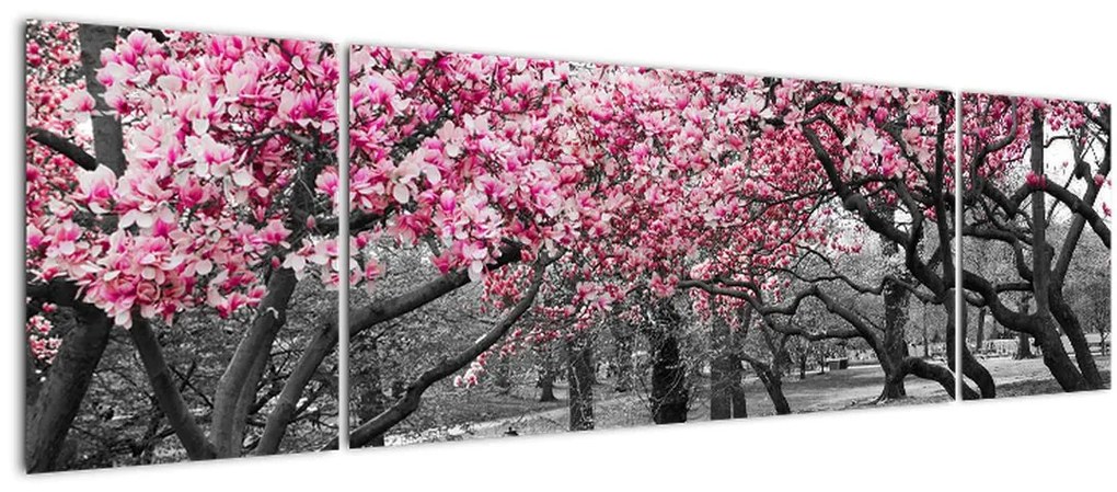 Obraz stromů Magnolíie (170x50 cm)