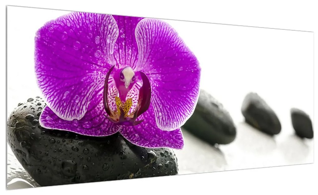 Obraz orchideje (100x40 cm)