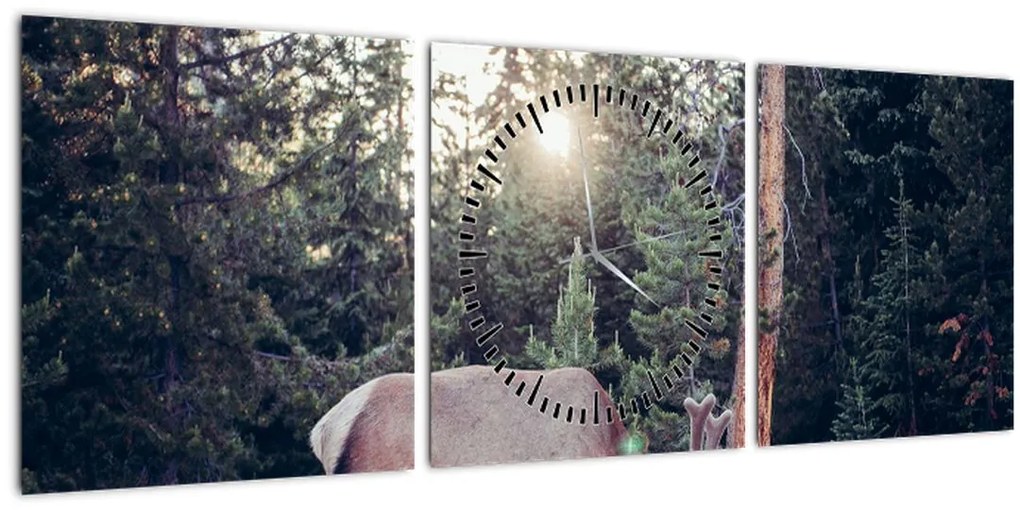 Obraz - Los na mýtině (s hodinami) (90x30 cm)
