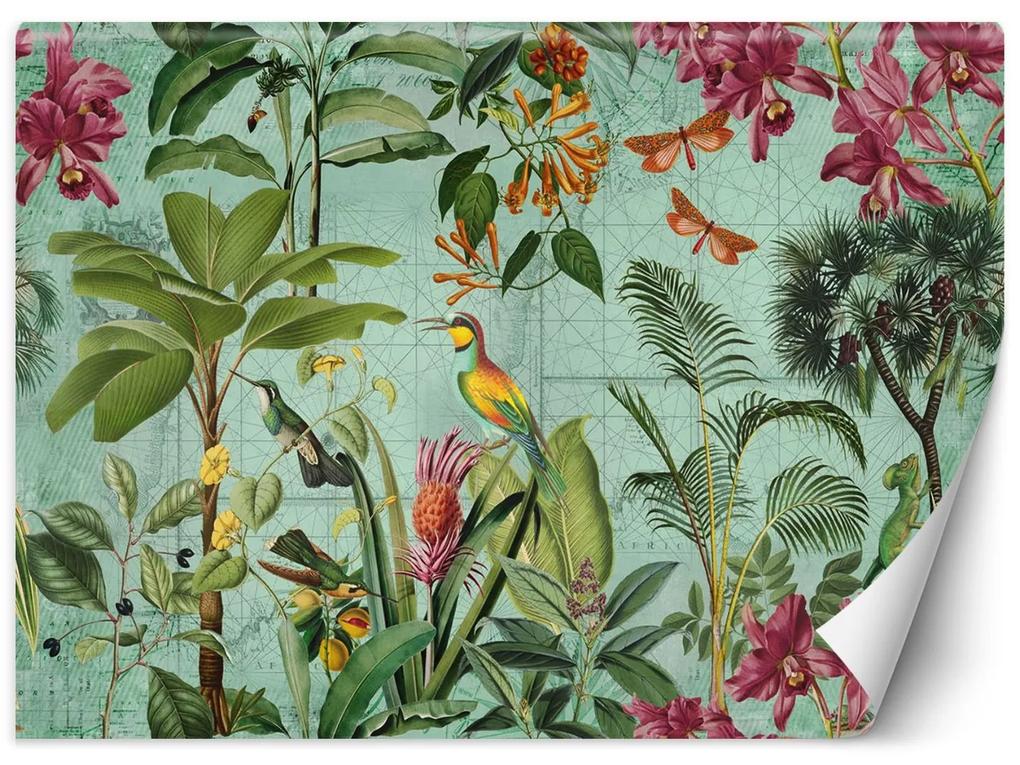 Gario Fototapeta Ptáci v tropických listech - Andrea Haase Materiál: Vliesová, Rozměry: 200 x 140 cm