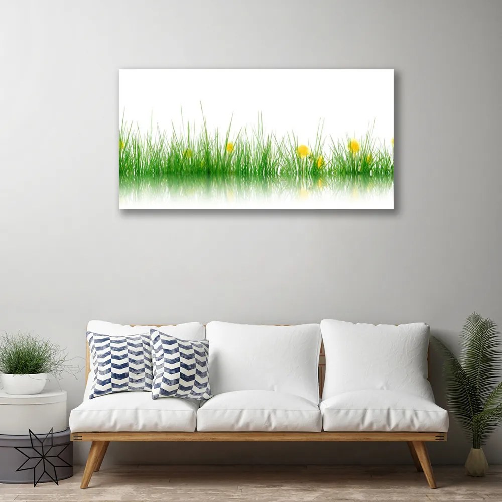 Obraz na plátně Příroda Tráva Květiny 120x60 cm