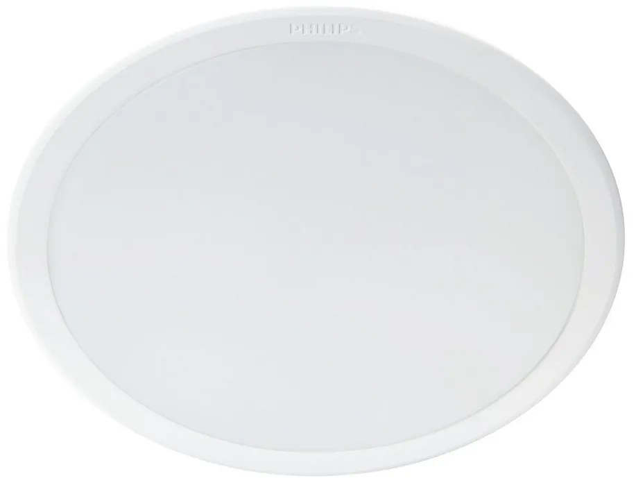 Philips Philips 59469/31/E4 - LED Podhledové svítidlo MESON 1xLED/21W/230V 6500K P3182