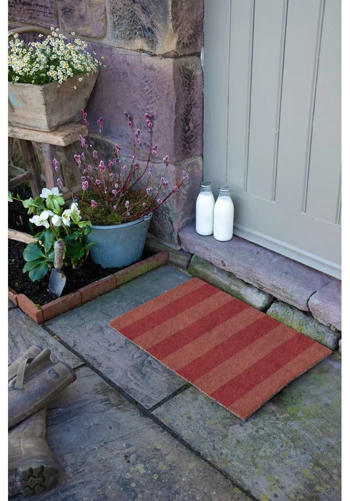 Rohožka z kokosového vlákna 40x60 cm Pink Stripe – Artsy Doormats