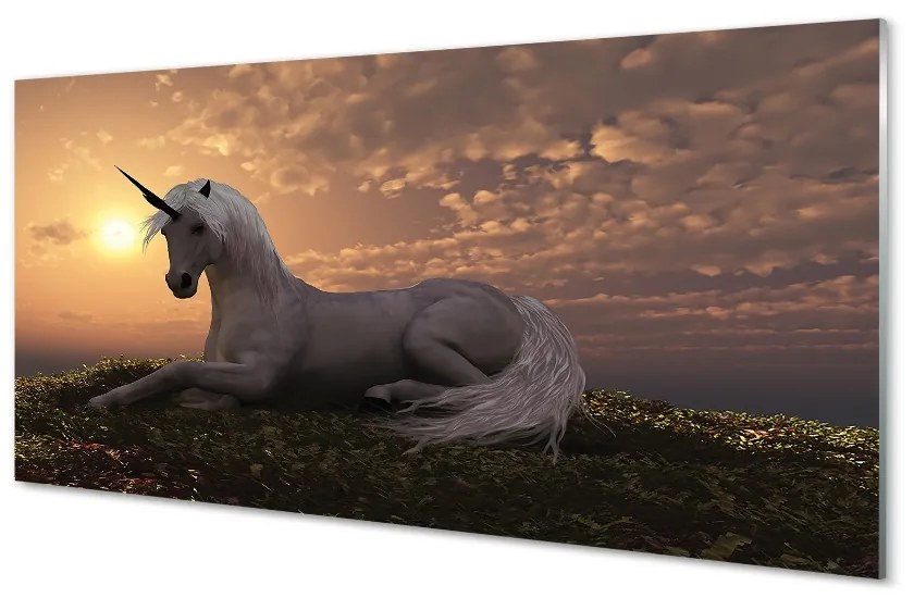 Obraz na skle Unicorn horské slunce 120x60 cm