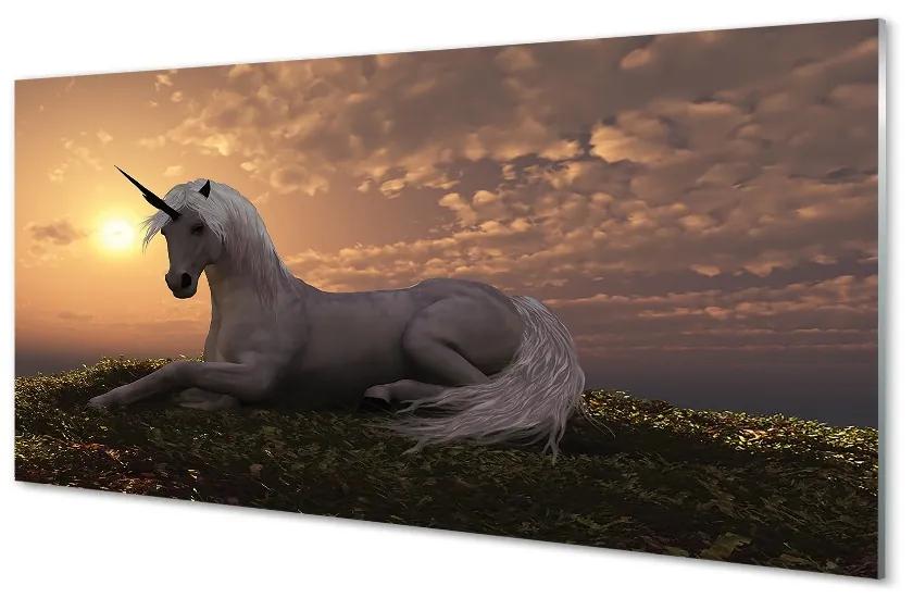 Obraz na skle Unicorn horské slunce 140x70 cm