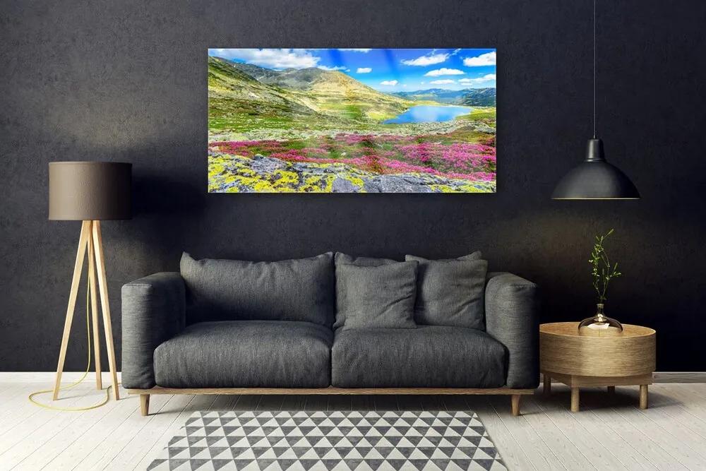 akrylový obraz Hora Záliv Louka Příroda 120x60 cm